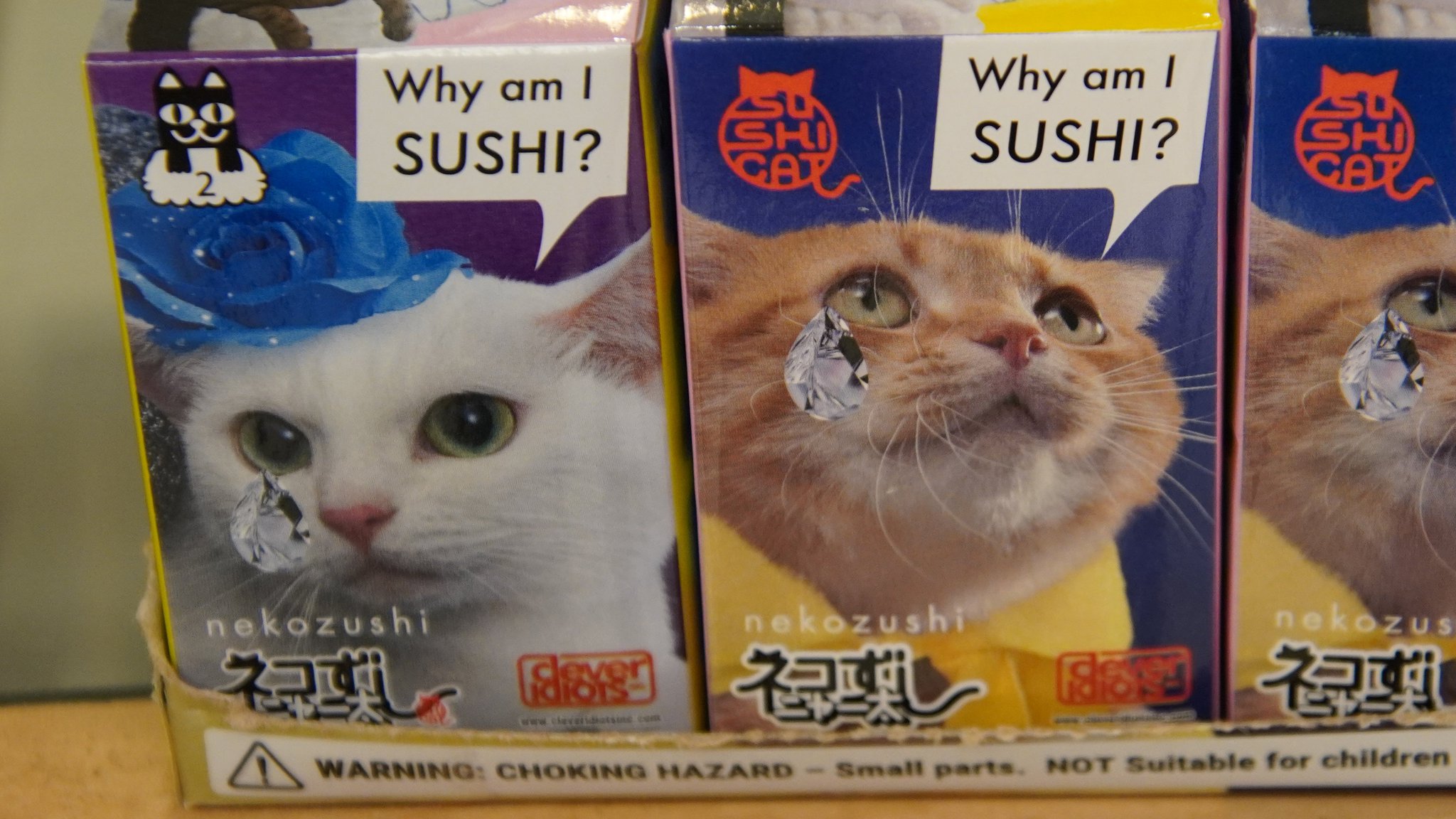 Sushi Cat Meme