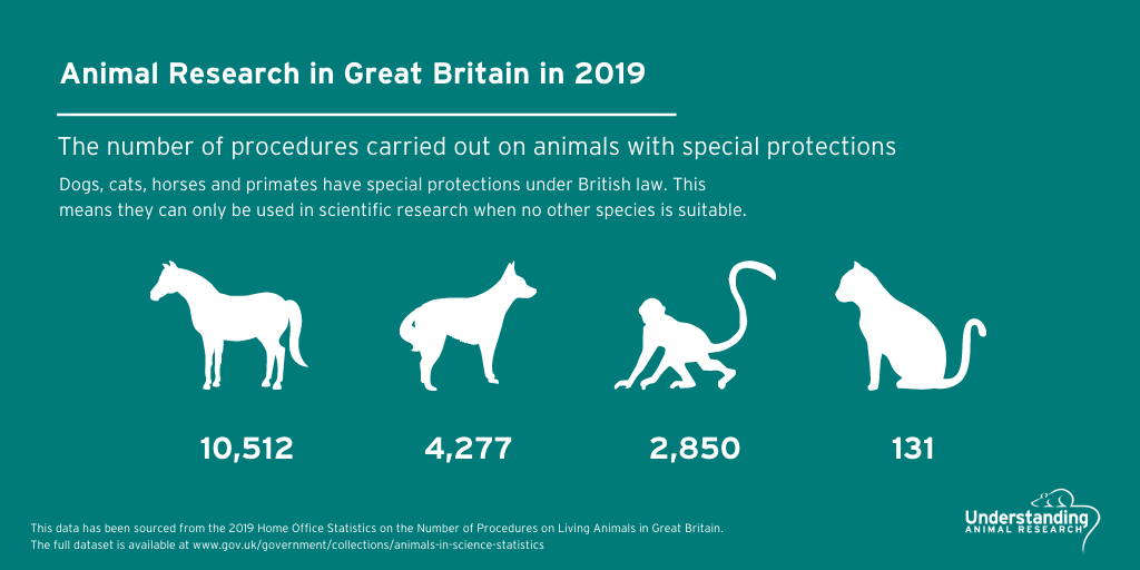 Statistics Animal Species