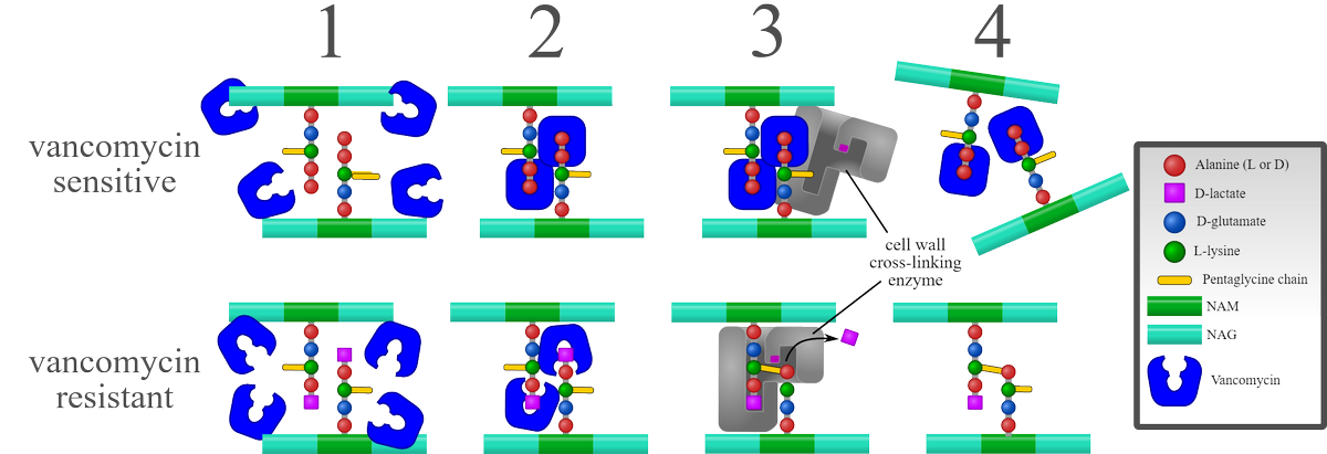 Matt Tsai's Threads – Thread Reader App