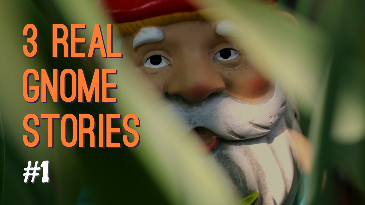 Real Gnomes Sightings