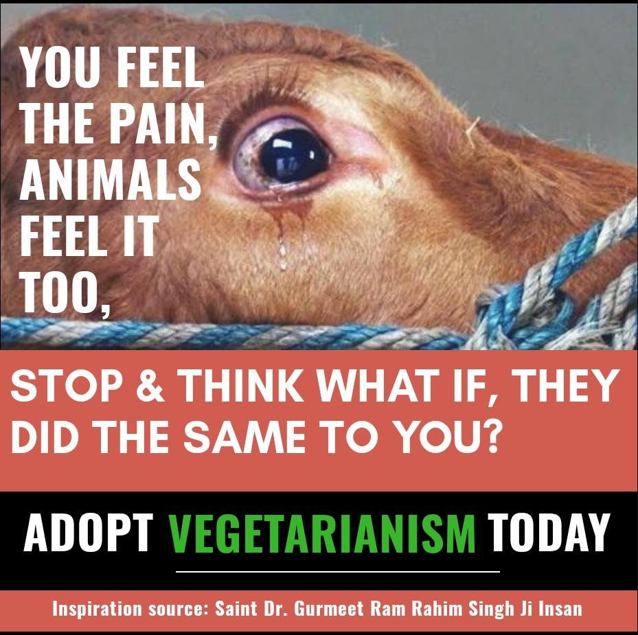 Animals Saying Stop It