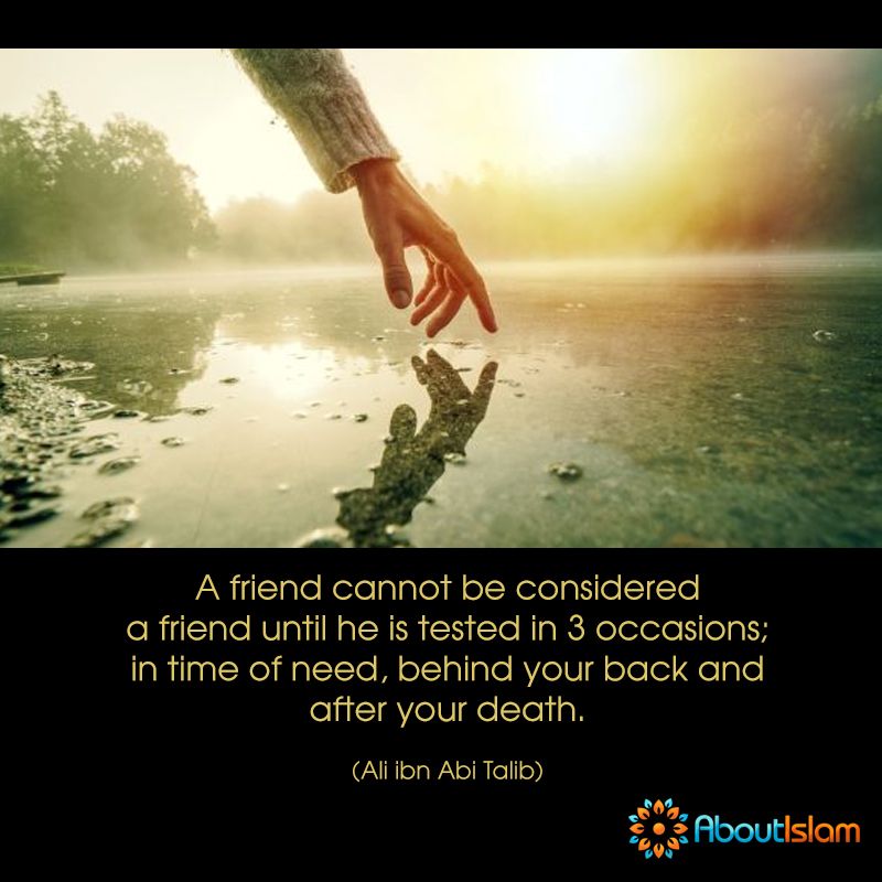 Quran On Friendship Quotes Qalby APP Friendship Has A Great Impact