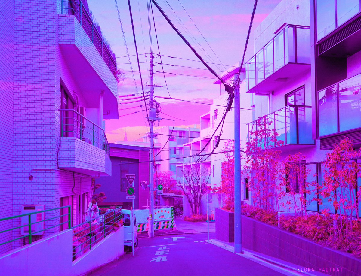 Rishav Haldar (@rishav_haldar) | Twitter