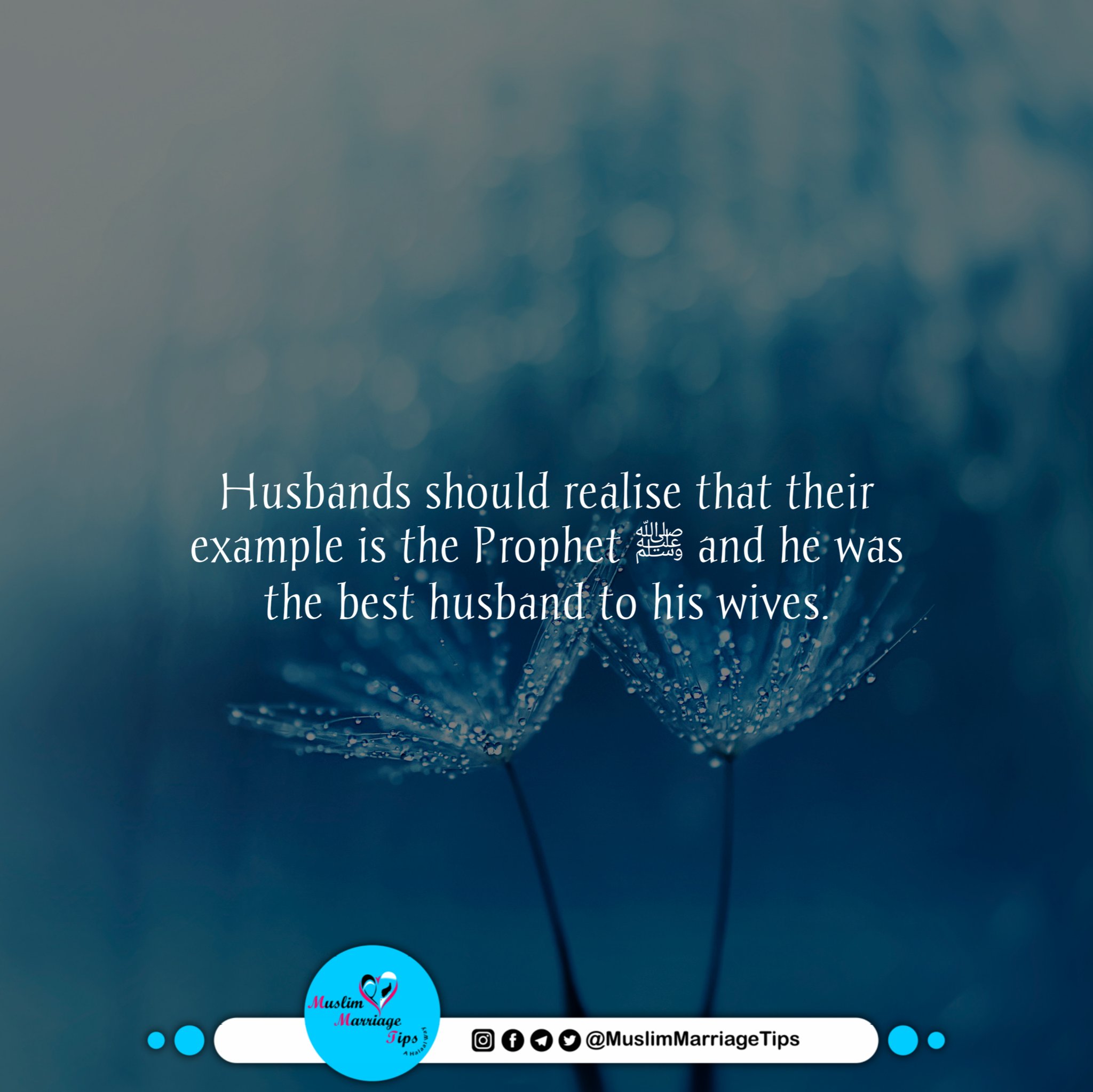 Islamic Marriage Quotes