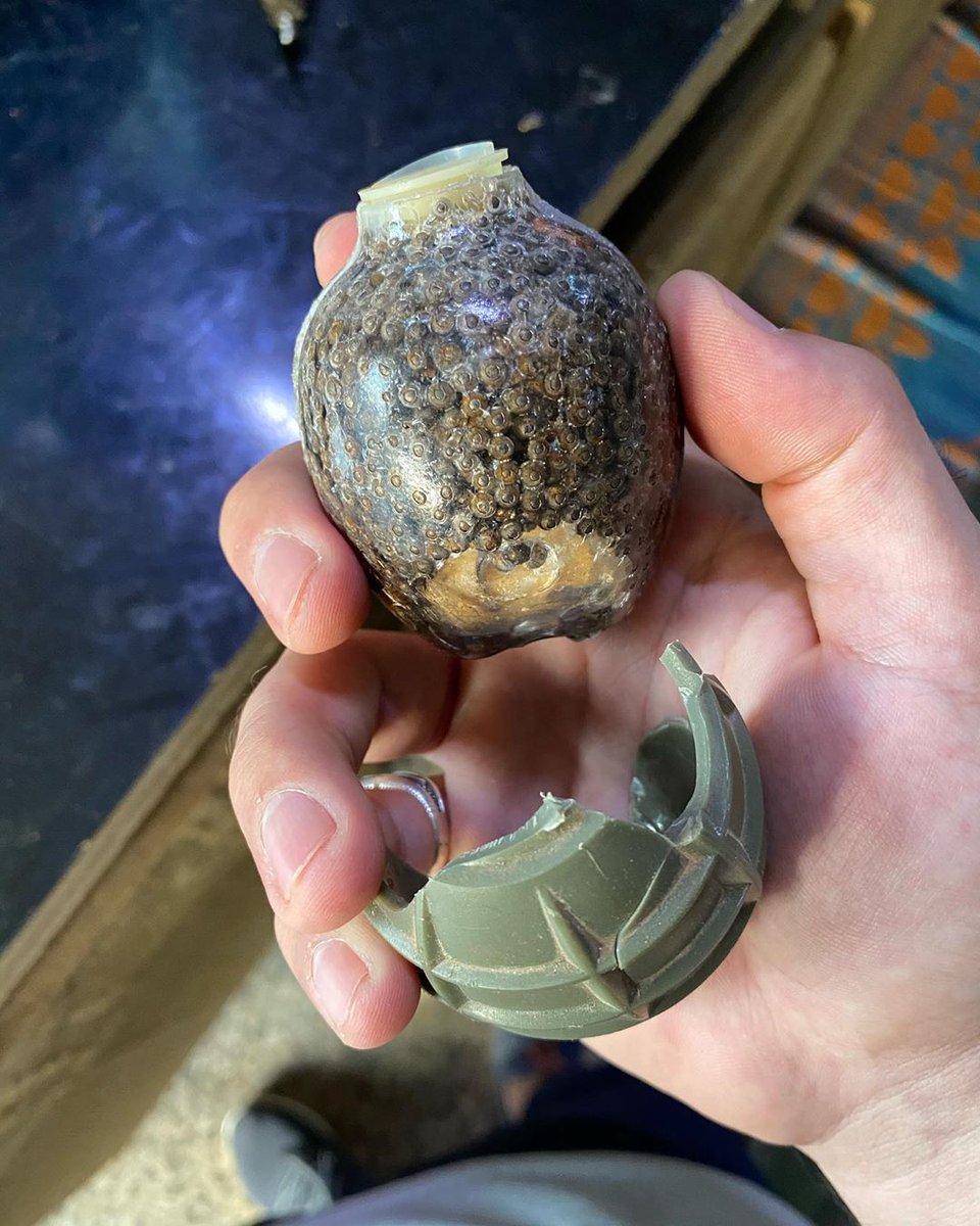 Frag Grenade Inside