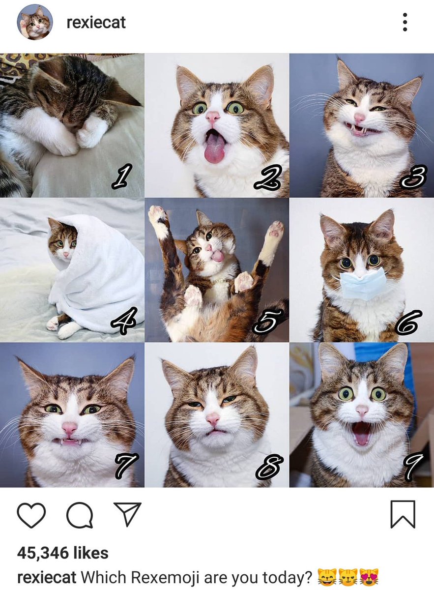 Choose Your Mood
