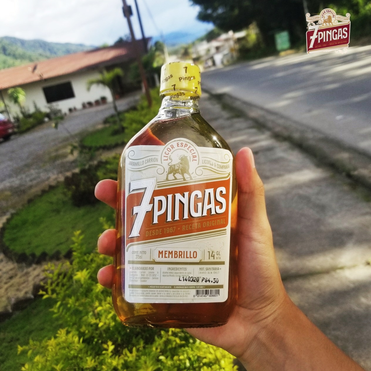 Licor 7 Pingas On Twitter Y Tú ¿cómo Estás Pasando Tu Viernes 🍷🤩 Zamora