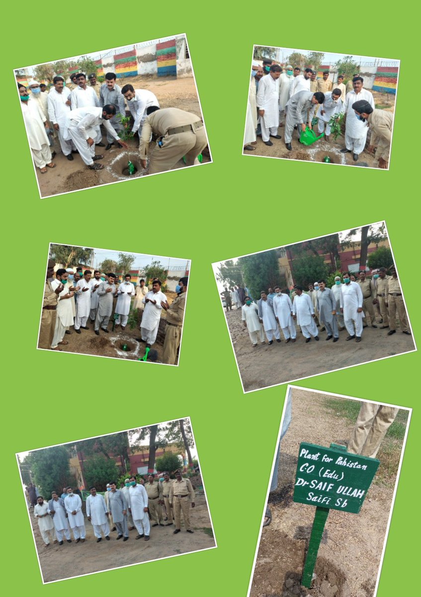 Muhammad Umer Abdullah (@TrainerUmer) | Twitter