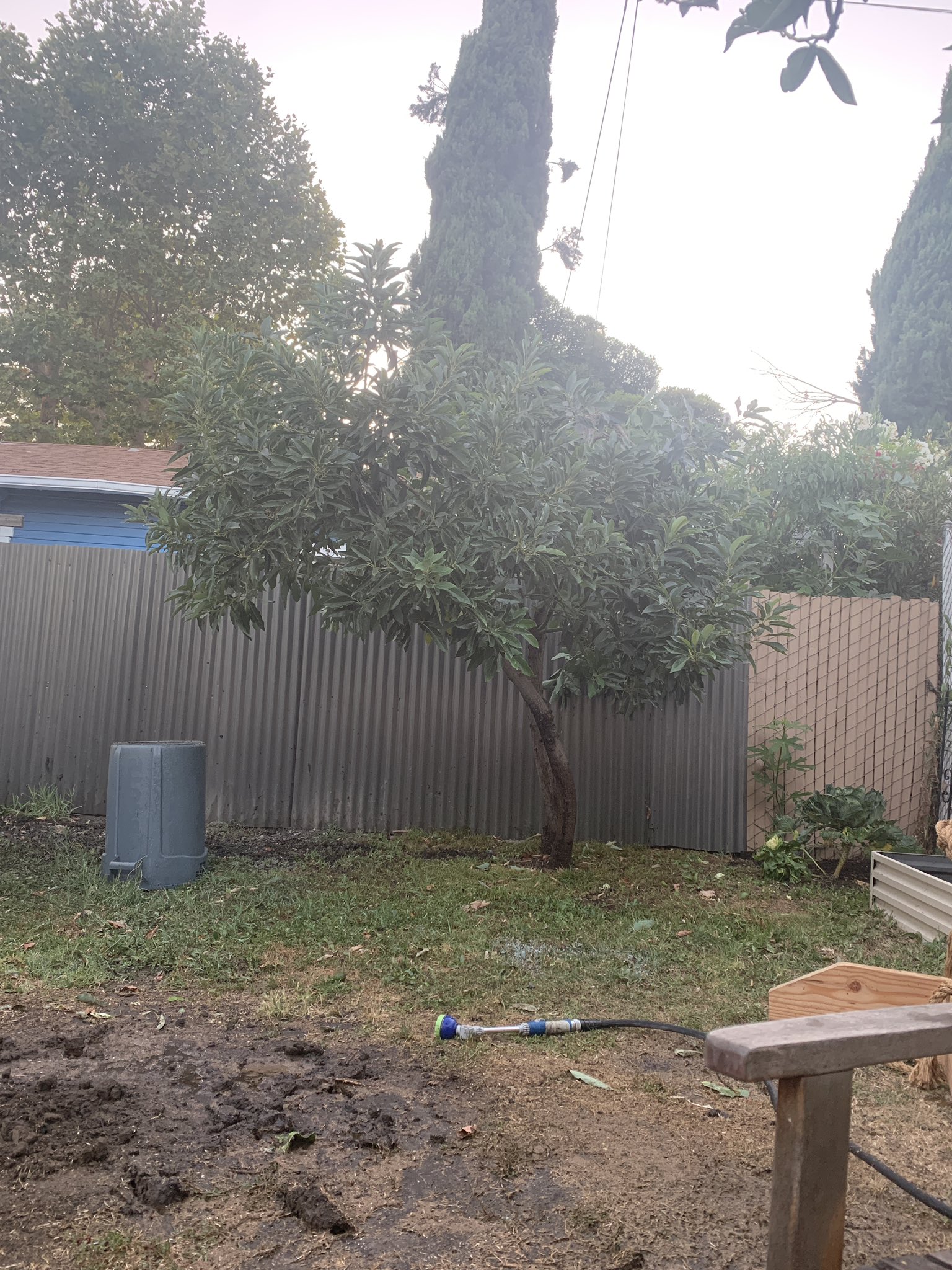 TW Pornstars - 2 pic. Ryankeely. Twitter. Got to use my machete ...