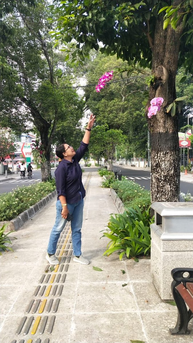 Grace Tethool (@GraceTethool) | Twitter