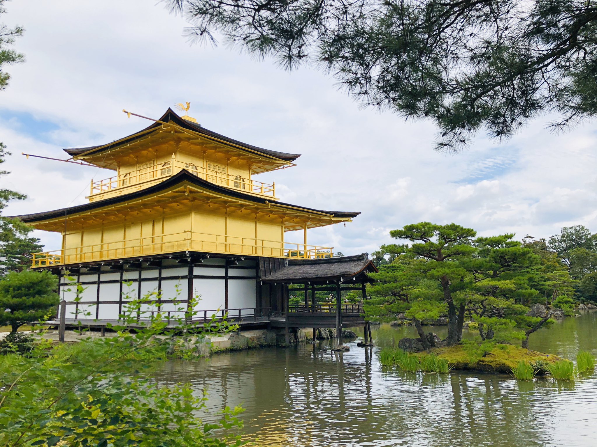 Enkule 👩🏻‍💻 On Twitter Киотогийн Алтан сүм буюу ханыг нь алтаар бүрсэн Кинкаку жиг үзлээ