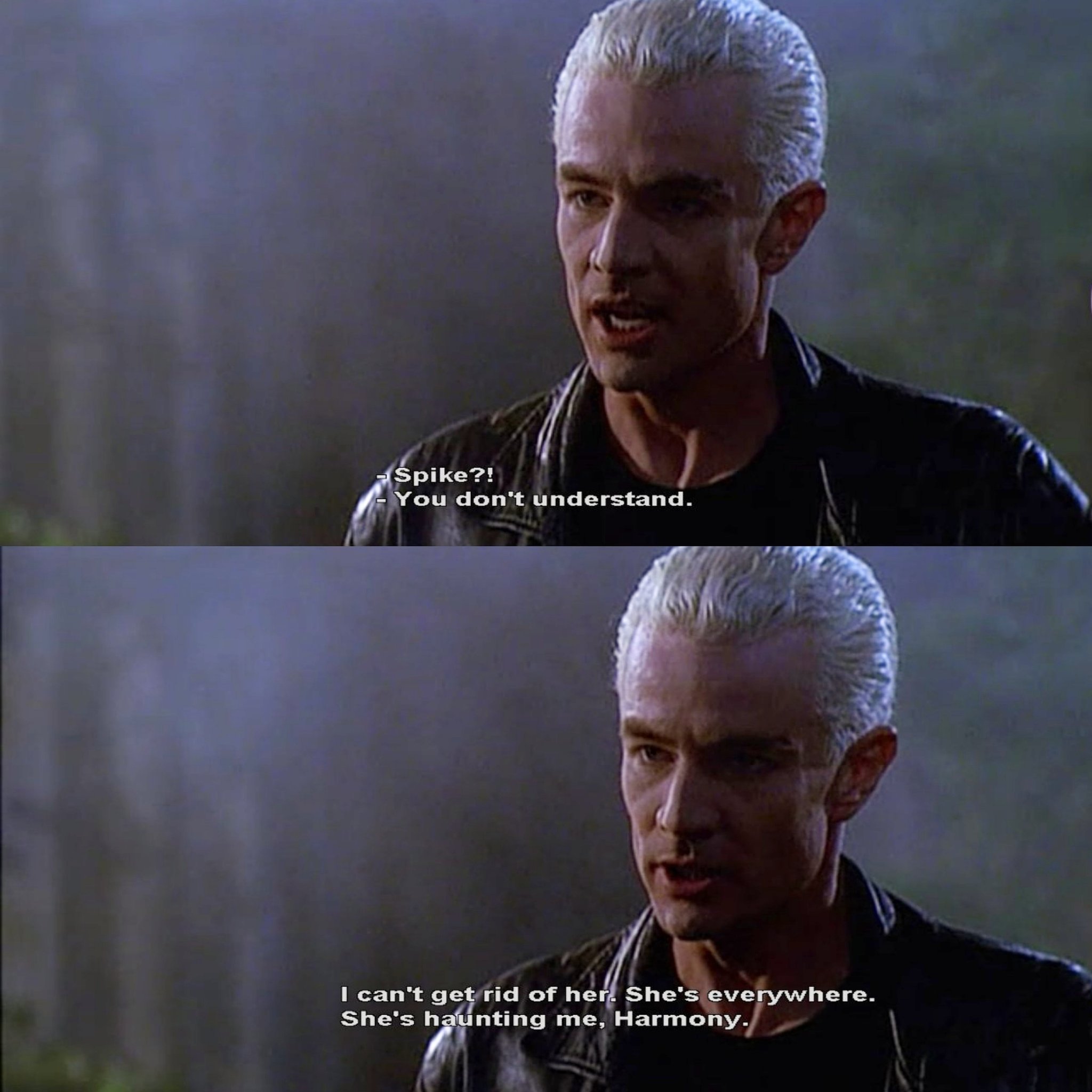 Buffy The Vampire Slayer Spike And Buffy Love Scenes