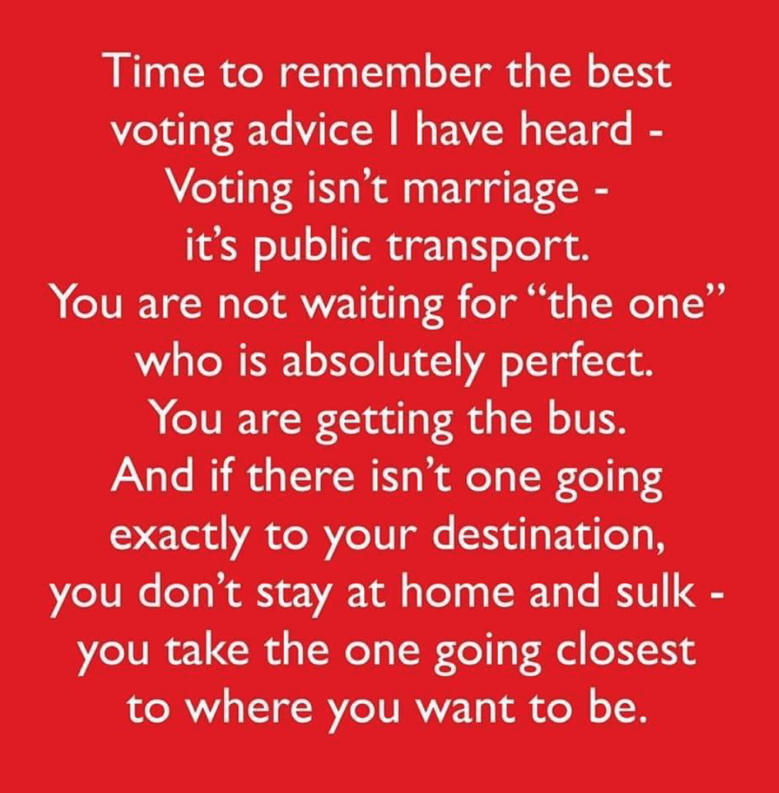 Voting Advice Quotes
