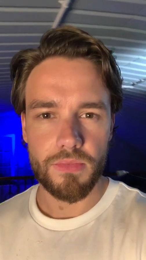 Liam Payne Beard