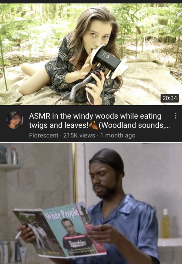 Asmr Memes On Twitter Ietwdsgs2o Twitter