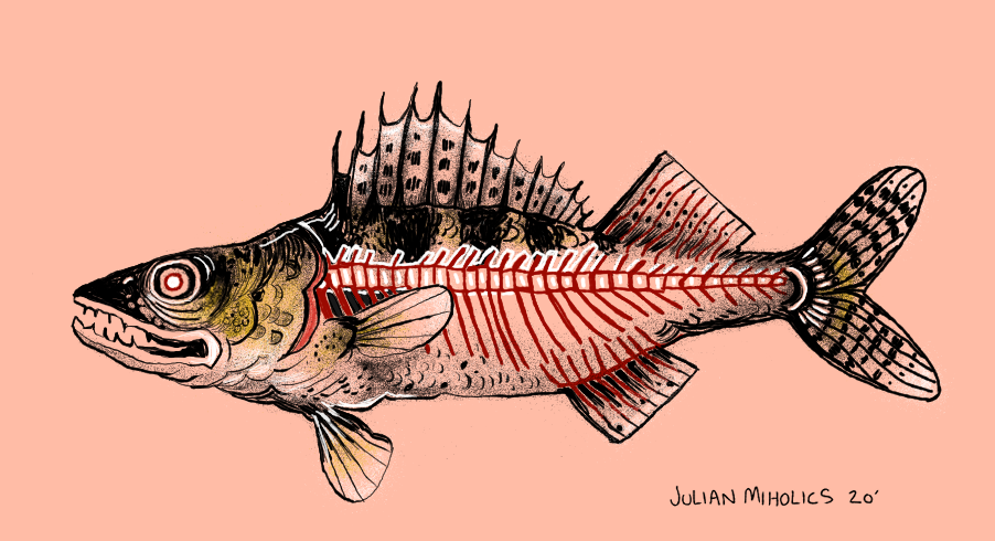 Walleye Skeleton Tattoos