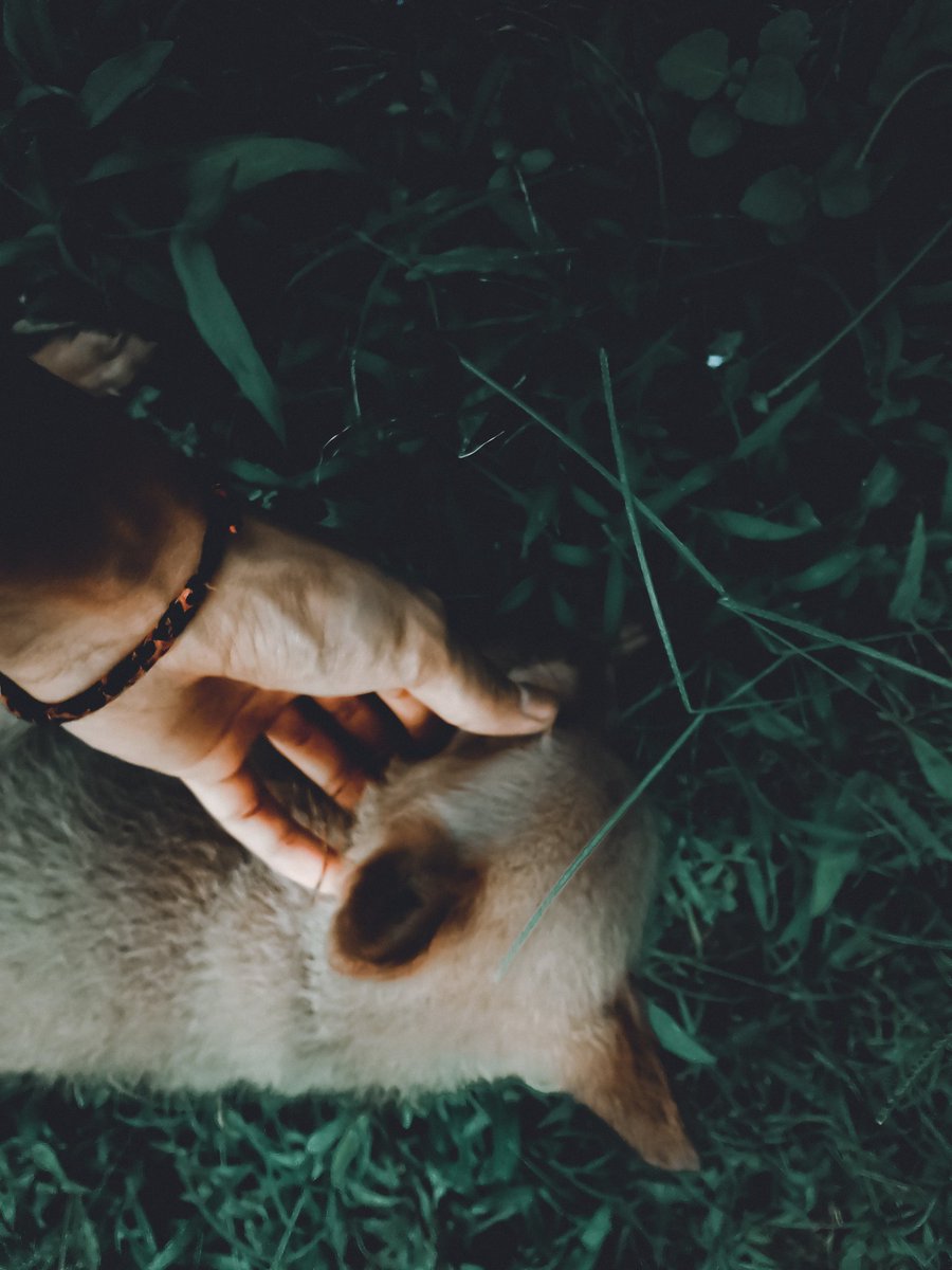 Hemphu Engti (@HemphuEngti18) | Twitter