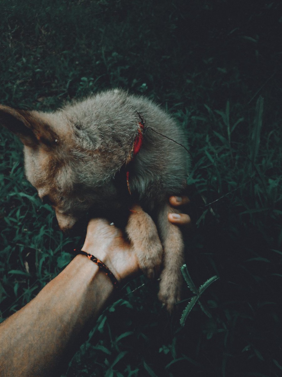 Hemphu Engti (@HemphuEngti18) | Twitter