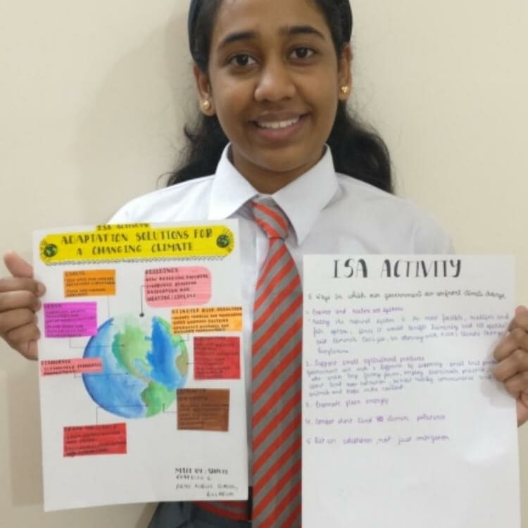 Sustainable Development Poster Making