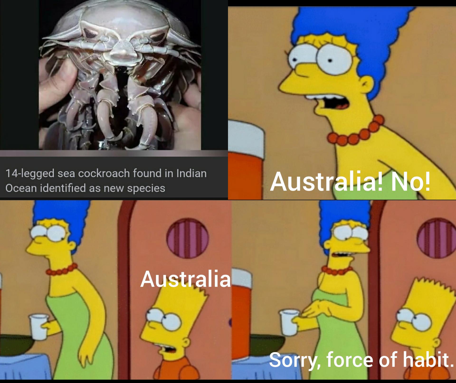 Dangerous Australian Memes Viral TikTok Shows Woman 'Unknowingly'