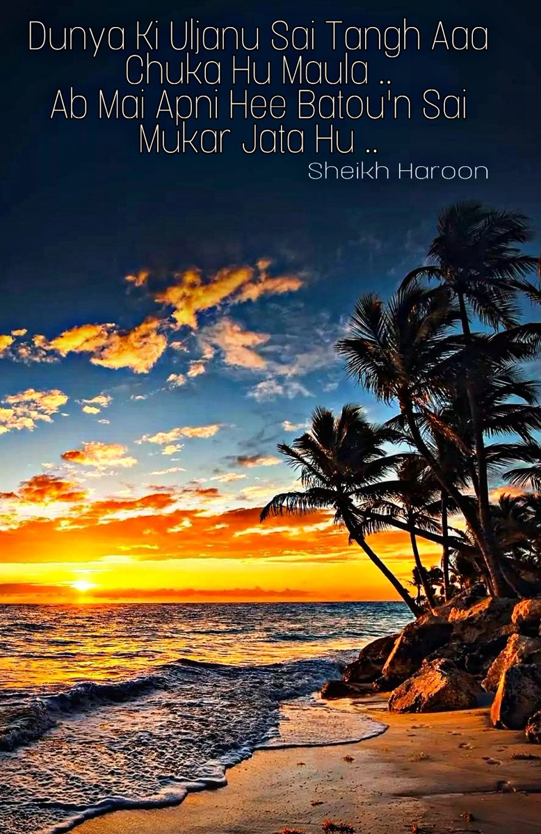 Sheikh Haroon (@sheikharoon8) | Twitter