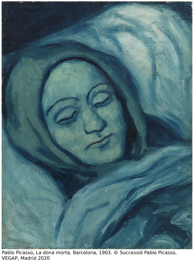 Picasso Poverty