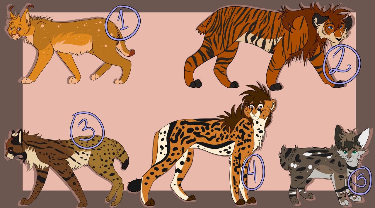 Cheetah And Tiger Hybrid