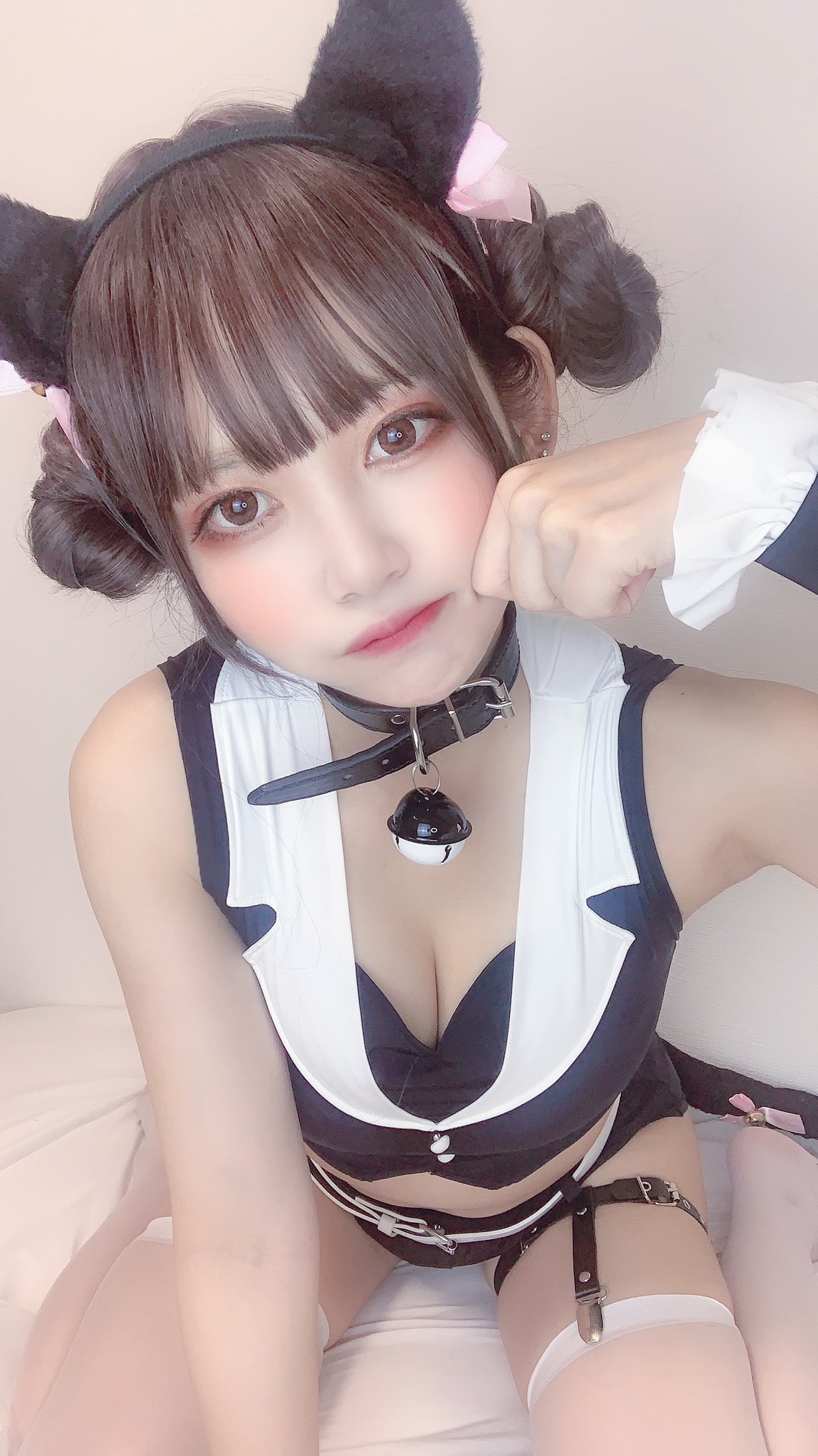 おへそ様 on Twitter: "RT @risa_smash: こんなネコチャンはいかがですか？🐱 https://t.co/EqndLLZgD4" / Twitter