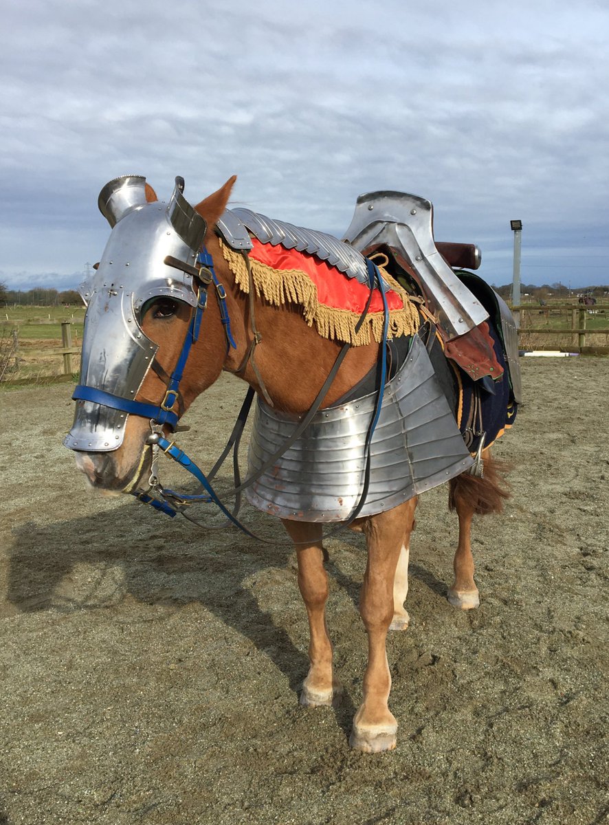Medieval War Horse Tack