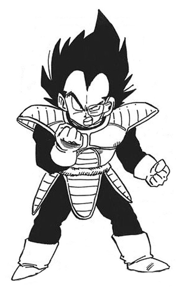 Vegeta Color Drawing