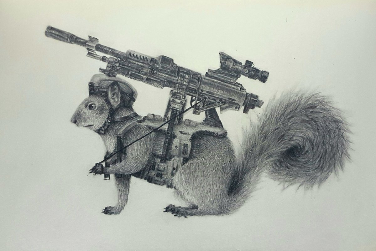 Squirrel With Sniper