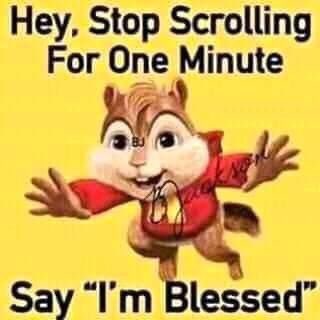 Funny Chipmunk Quotes Alvin And The Chipmunks What GIF Alvin And The