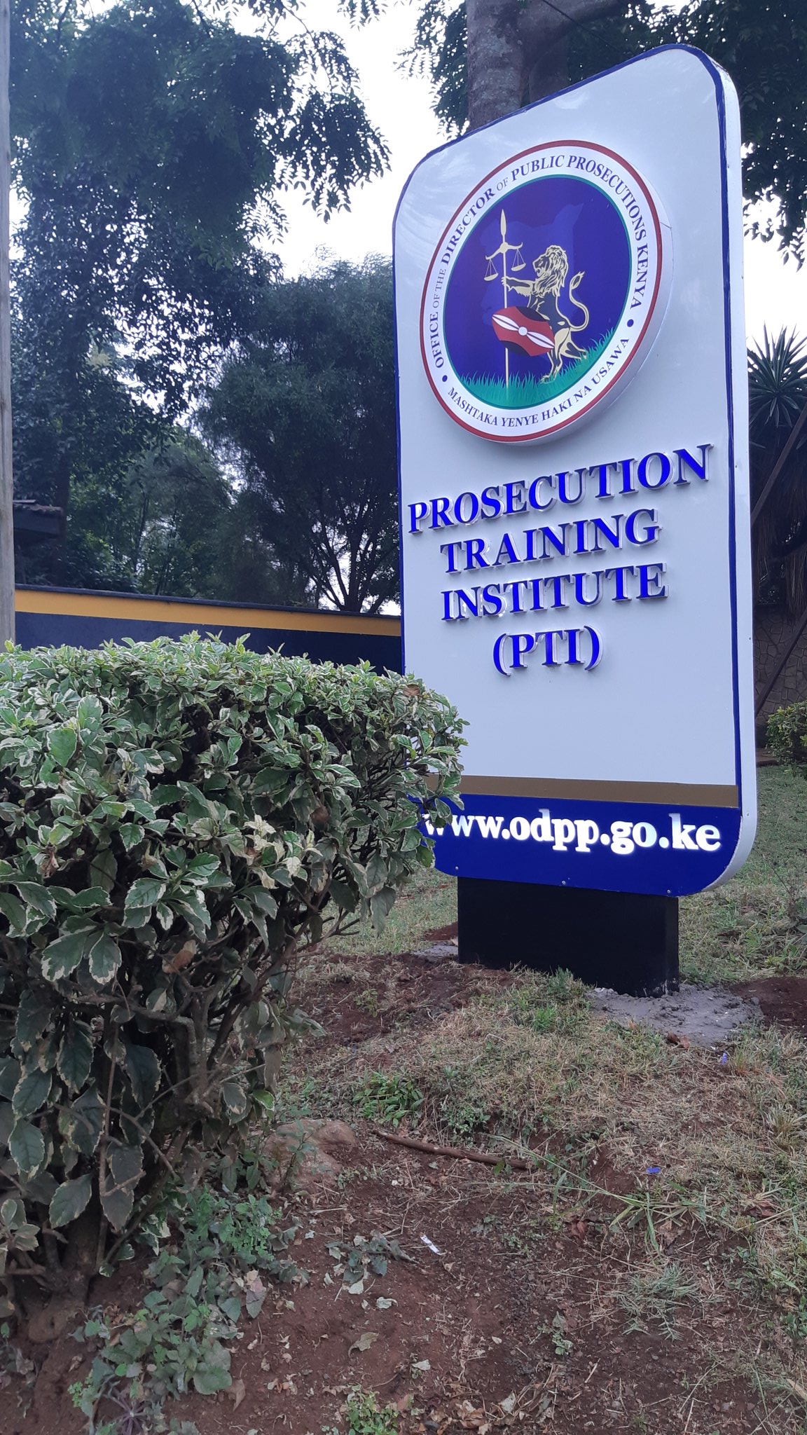 Logotipo De Odpp Kenia Our Leadership The Office Of The Director Of