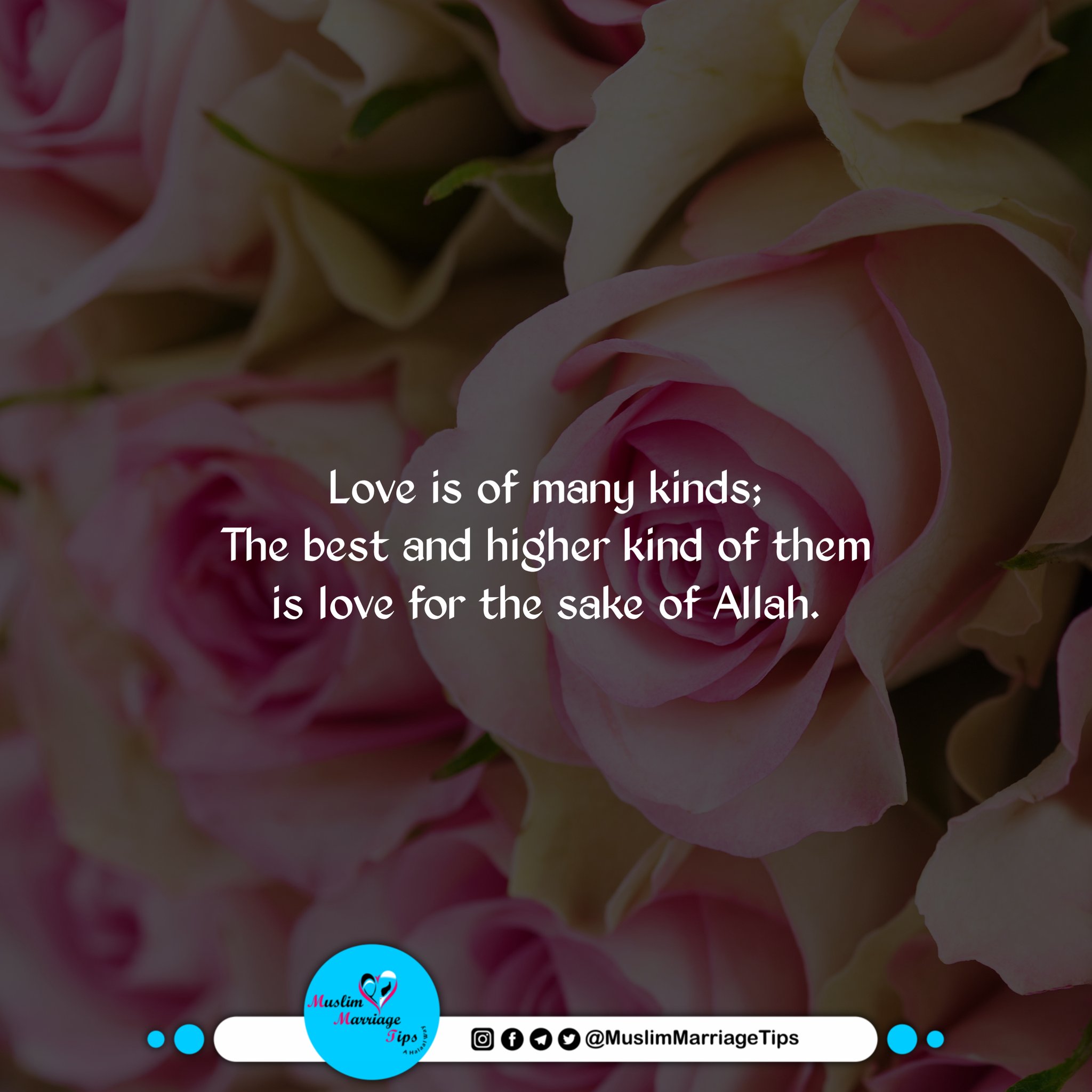 Muslim Marriage Quotes