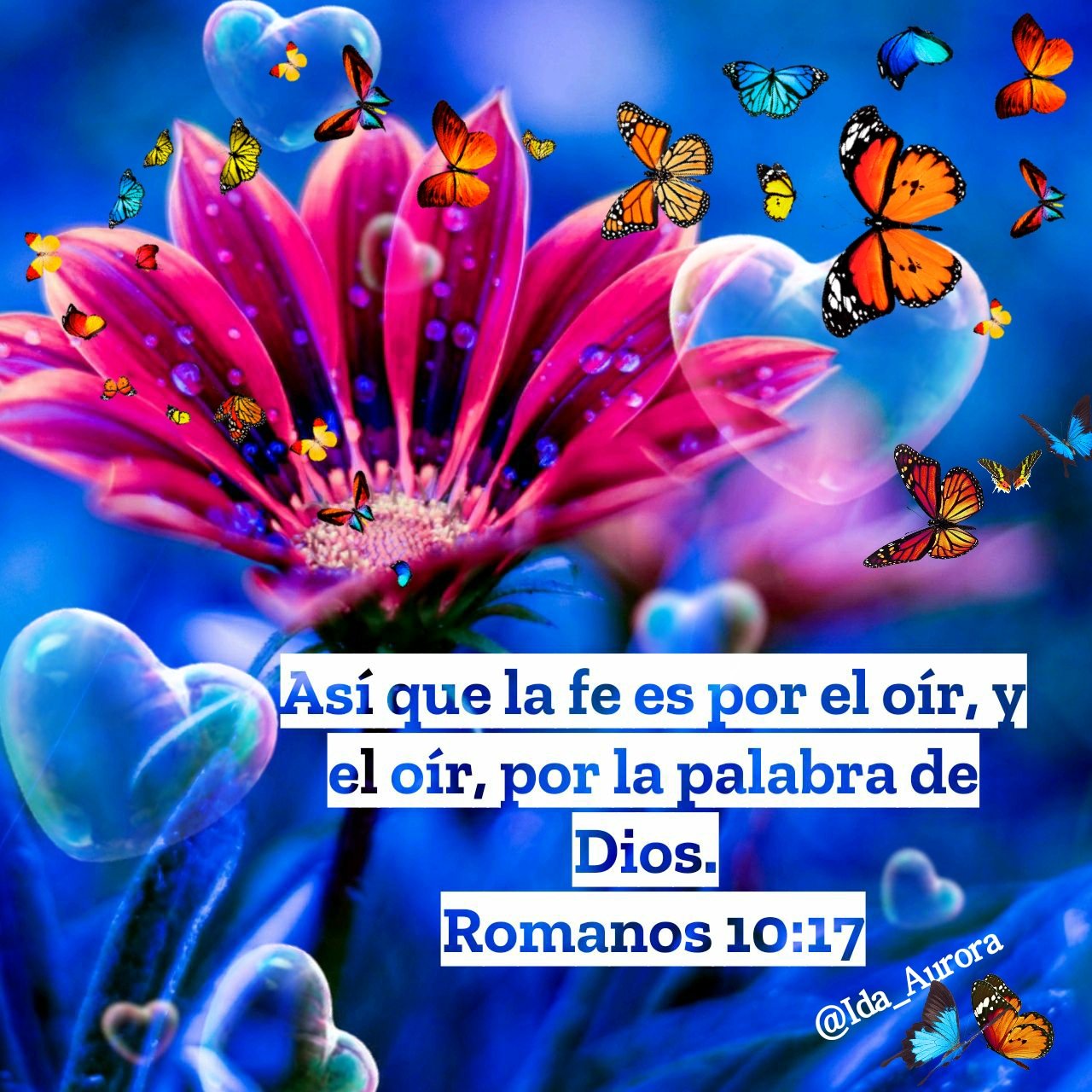 La Fe Viene Por El Oír Y El Oír La Palabra