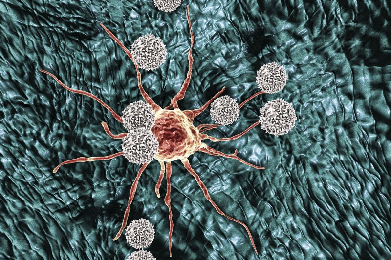 وجد باحثون في معهد باركر للعلاج المناعي للسرطان @parkerici أن التغييرات ...