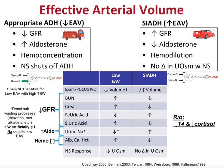 🚨Alert! Introducing a new approach to hyponatremia 🚨 Toss aside that ...