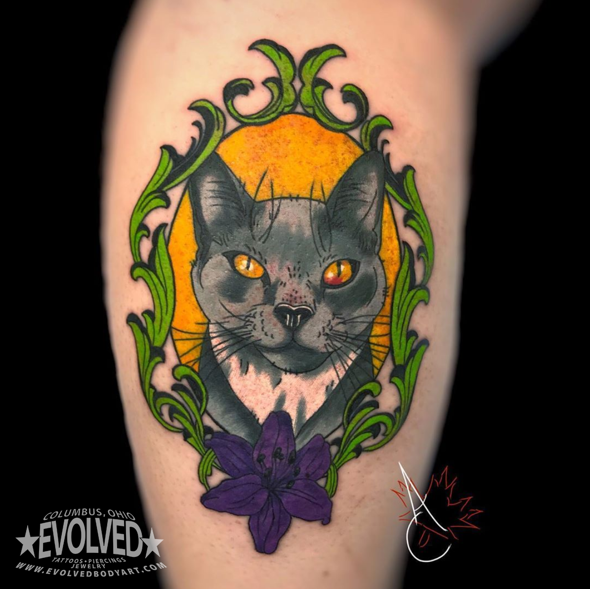 Traditional Cat Tattoo In Frame