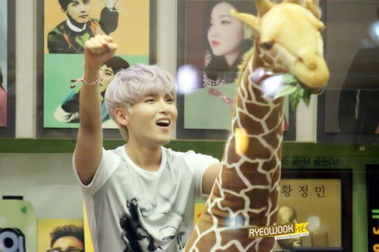 Ryeowook Giraffe