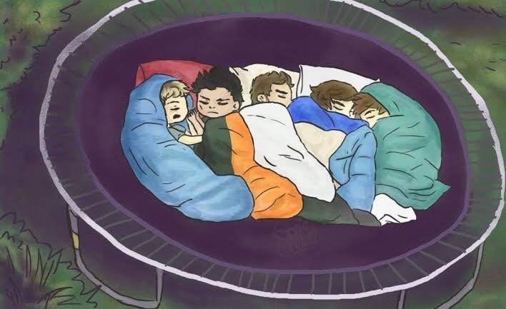 One Direction Sleeping On A Trampoline