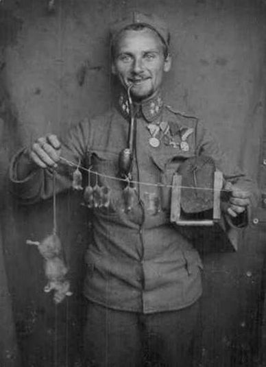 First World War Rats