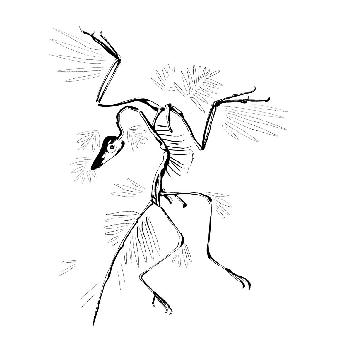 Finch@Finchwingの漫画作品一覧(古い順)