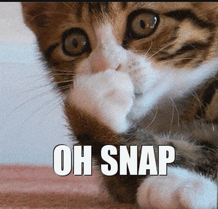 Oh Snap Cat Meme