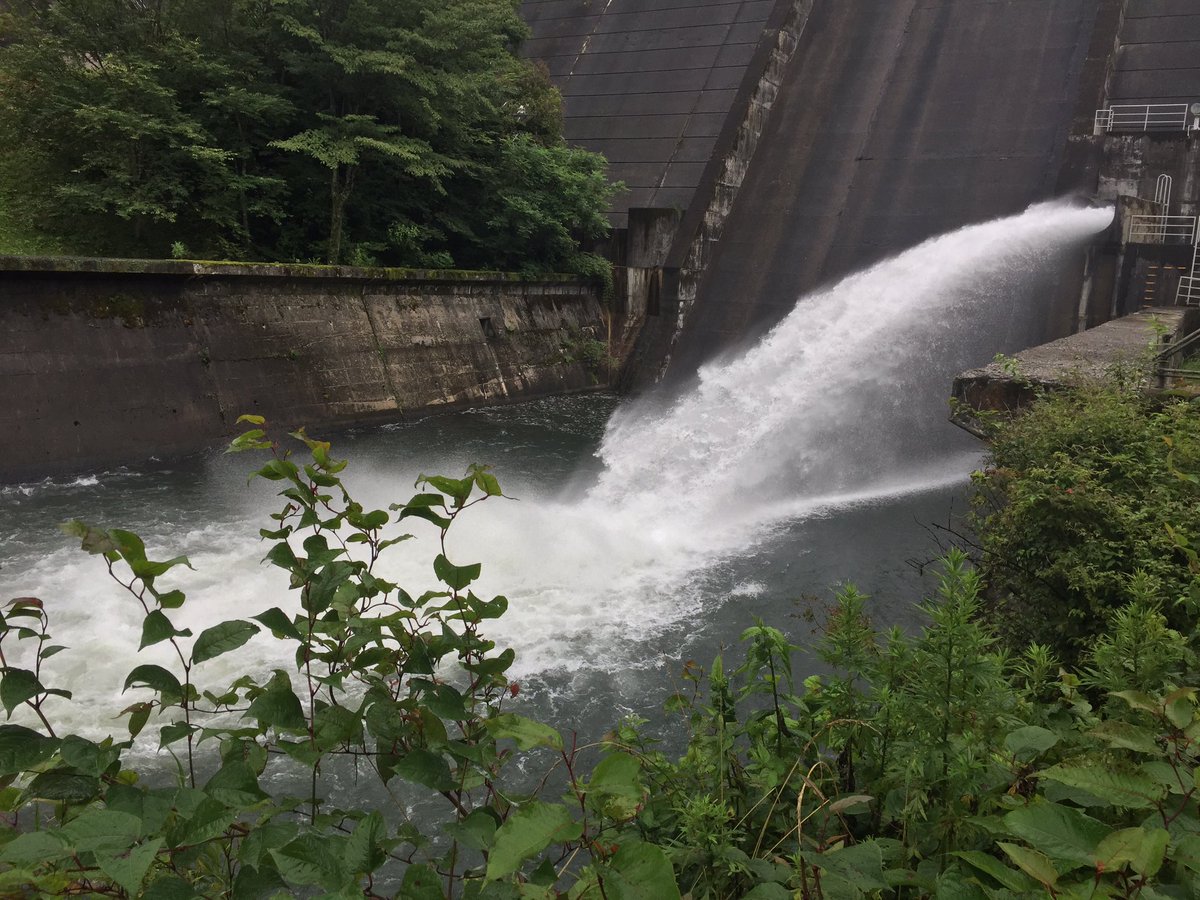 YUYA YASUDA (@Yu11ya2) | Twitter