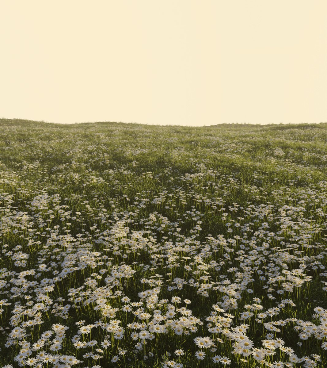 WIP @_BD3D #scatter #b3d #blender #Daisy #scatter #b3d #blender #daisy ...