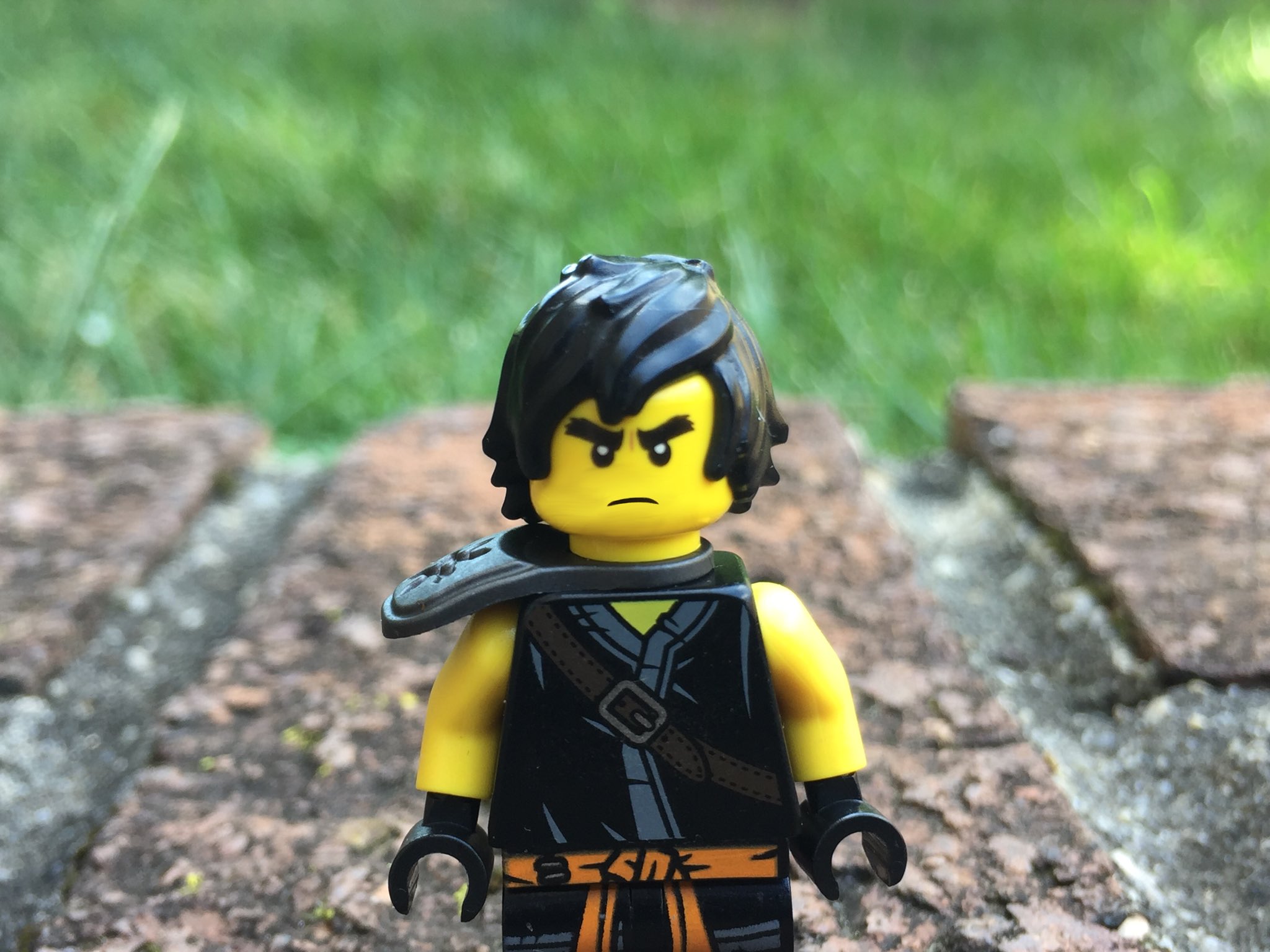 Ninjago Characters Cole