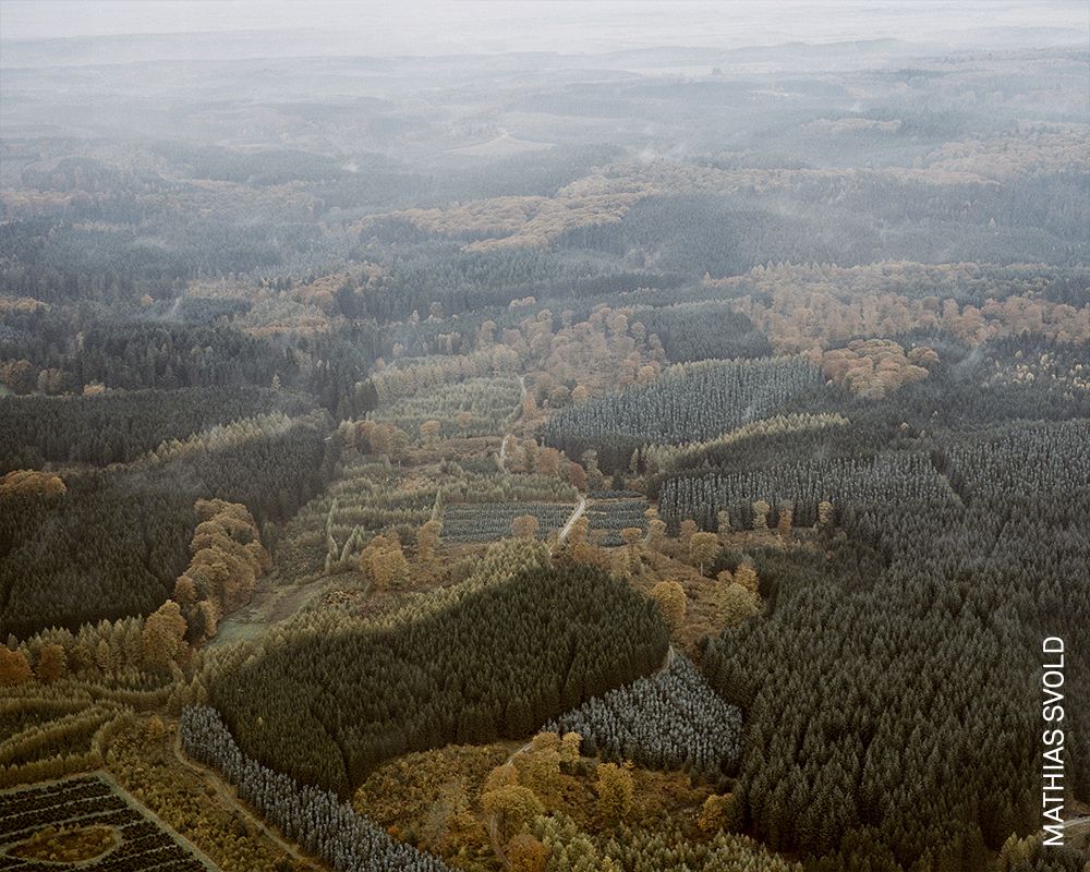 “This story is a journey into the deepest parts of Rold Forest to ...