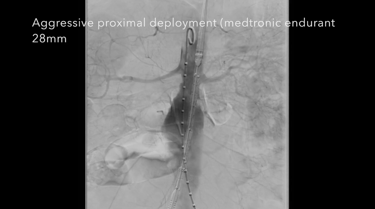 Kevin Macwan (@BrainIsTime) / Twitter