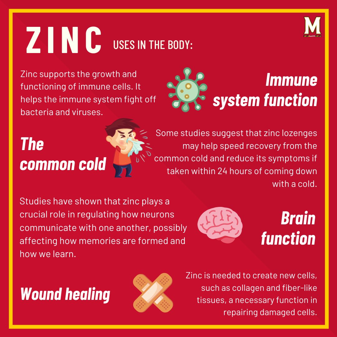 Zinc Uses In The Body