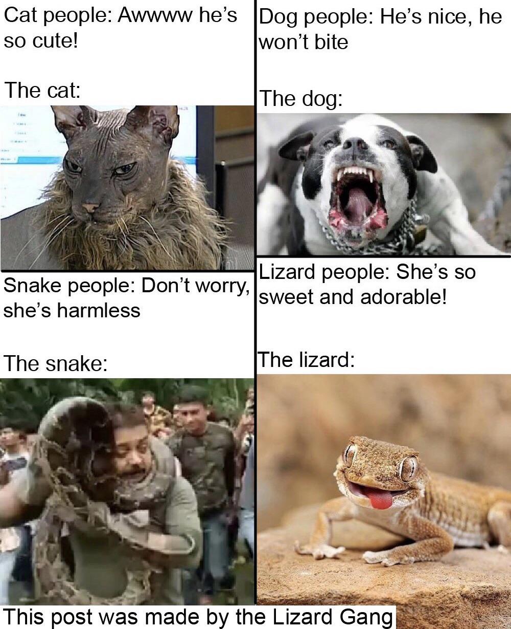 Lizard Squad Meme I Was Gonna Out Something About Lizard Squad Here